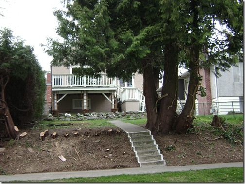 DesignTies: From Ugly to Fantastic: Our Yard, Transformed!